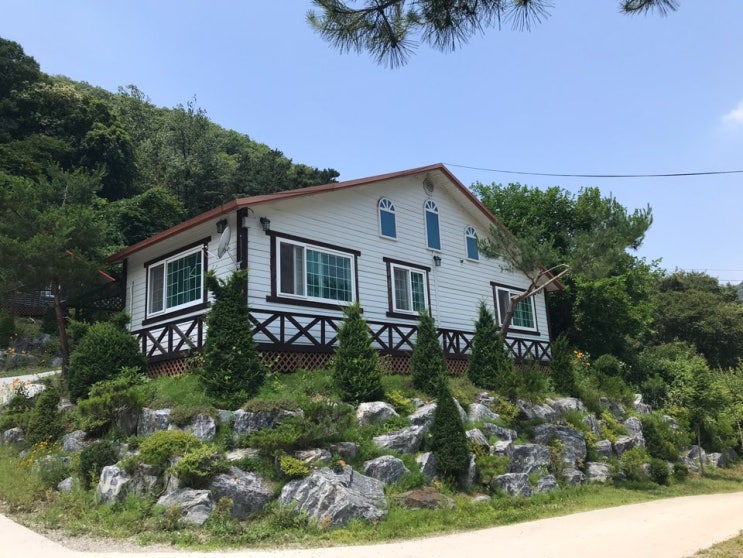 대전 장태산 알프스 펜션 소나무방대전 겨울 펜션 대전 바베큐 장태산휴양림 대전 장태산 수영장 펜션 풀장 펜션 단체