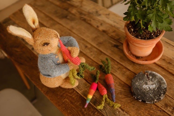 대바늘인형: 알란다트 피터래빗 (Peter Rabbit) : 네이버 블로그