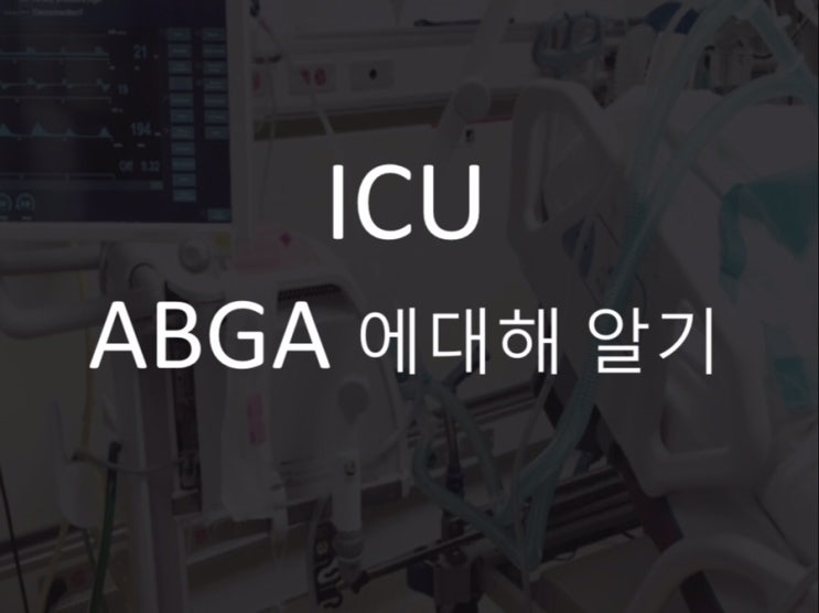 ABGA에대해 공부해요 : 네이버 블로그