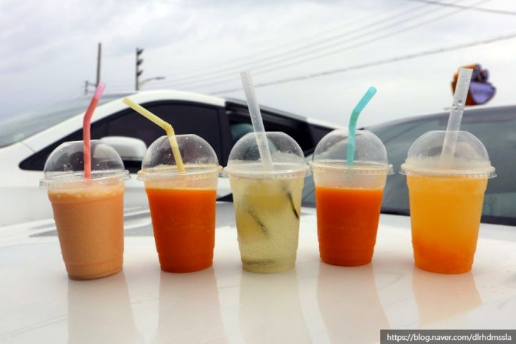 용담카페추천 대학나무 맛있는 한라봉주스 제주 용담해안도로 핫플 맞네 네이버 블로그