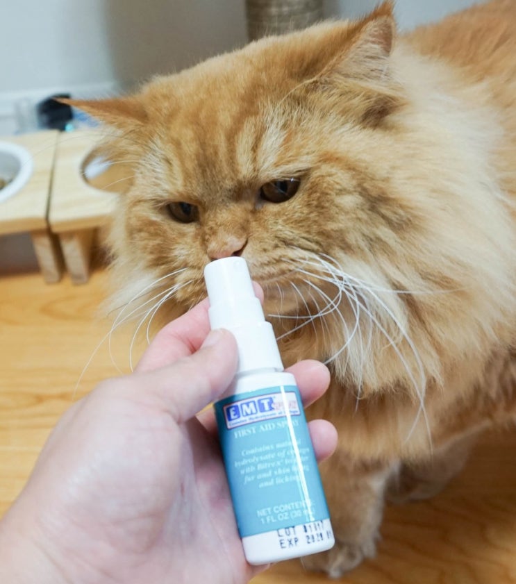 폴리파크에서 마련한 EMT스프레이(천연콜라겐치료제)후기 : 네이버 블로그