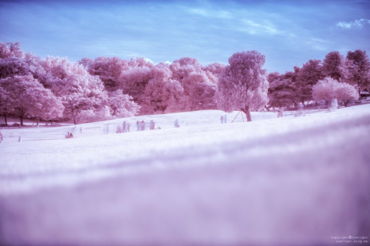 적외선 필터 HOYA Infrared R72 : 네이버 블로그