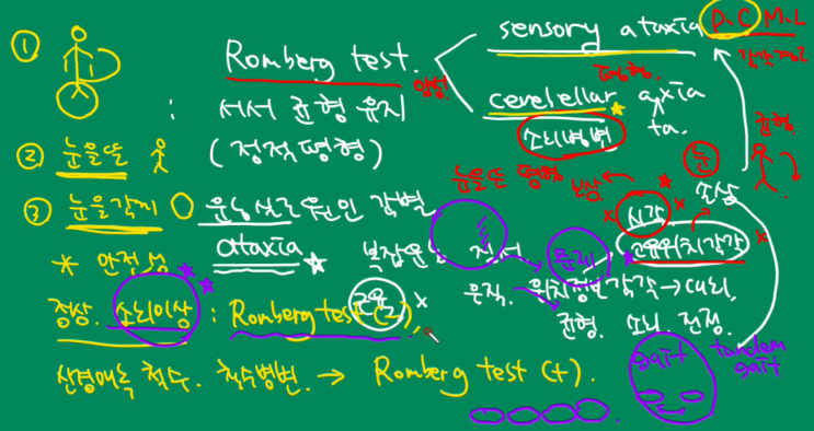 롬버그 검사(Romberg test) 양성(positive)과 음성(negative)판정, 운동실조(sensory ataxia ...