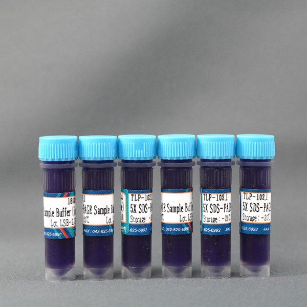 5X Sample Buffer : 네이버 블로그