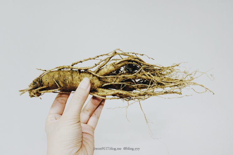 상견례 선물 순이네인삼 직거래♬ 수삼꿀절임 : 네이버 블로그