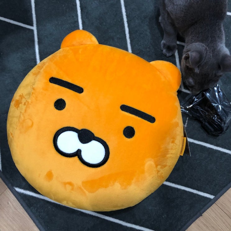 카카오 프렌즈 X 휴테크 라이언 안마 마사지 쿠션 솔직한 사용후기!! : 네이버 블로그