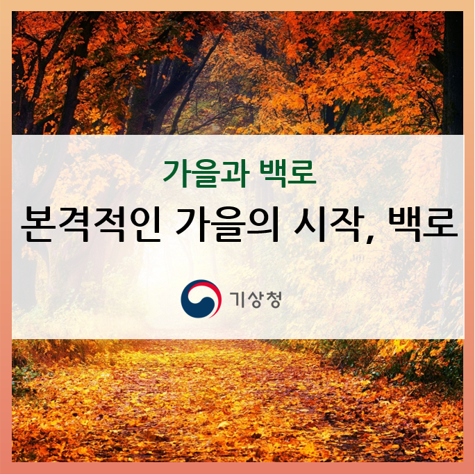 가을이 온다 가을이 본격적으로 시작되는 백로 네이버 블로그