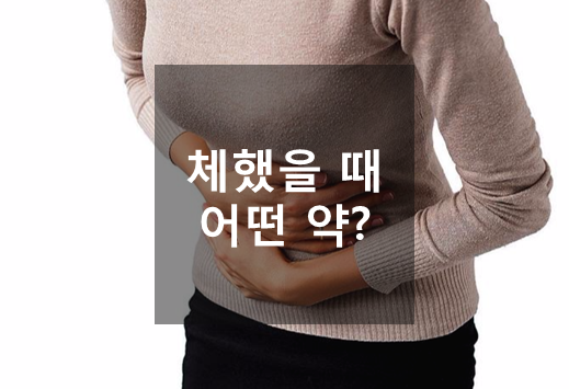 소화가 안될 때 뭘 먹어요 약사가 추천하는 소화제 2편 양약소화제 위장관운동조절제 제산제 네이버 블로그