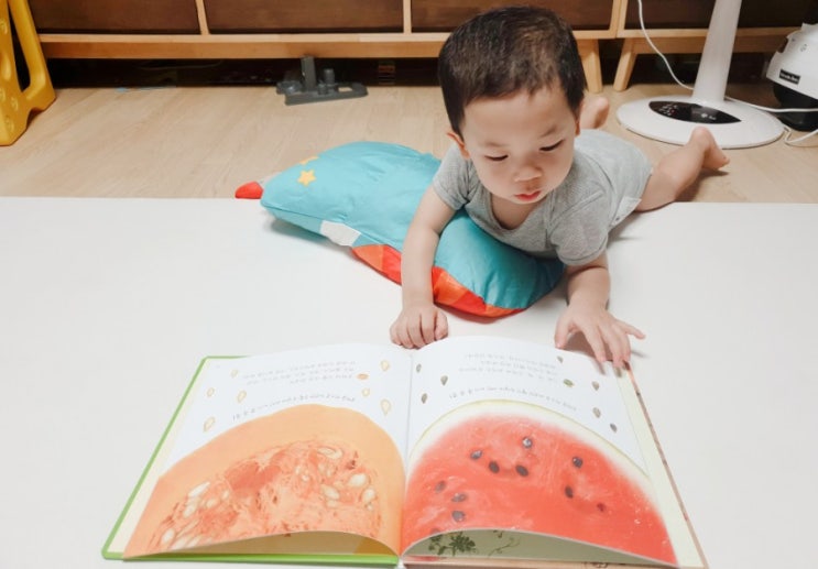 자연관찰책 비교 아람자연이랑 그레이트북스 놀라운자연 네이버 블로그