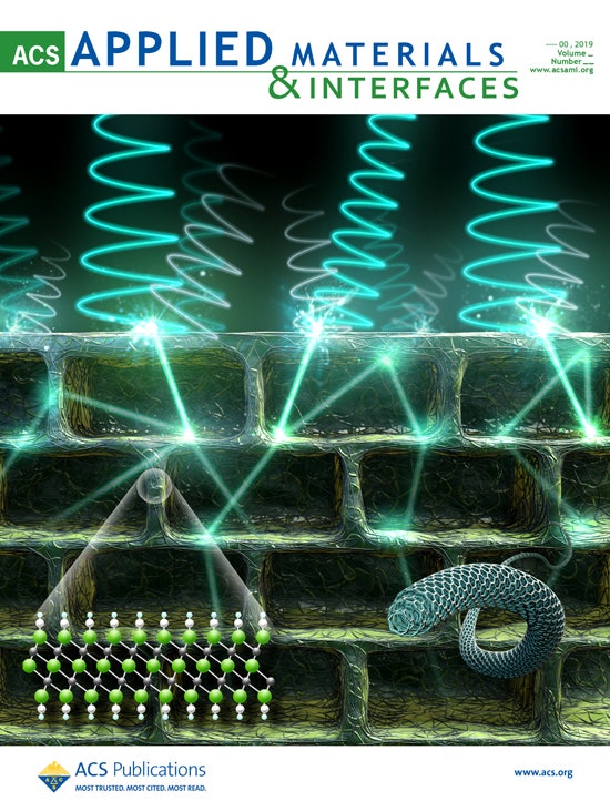 Applied Materials & Interfaces_ACS/논문커버디자인/Journalcover/논문표지/3D디자인 ...