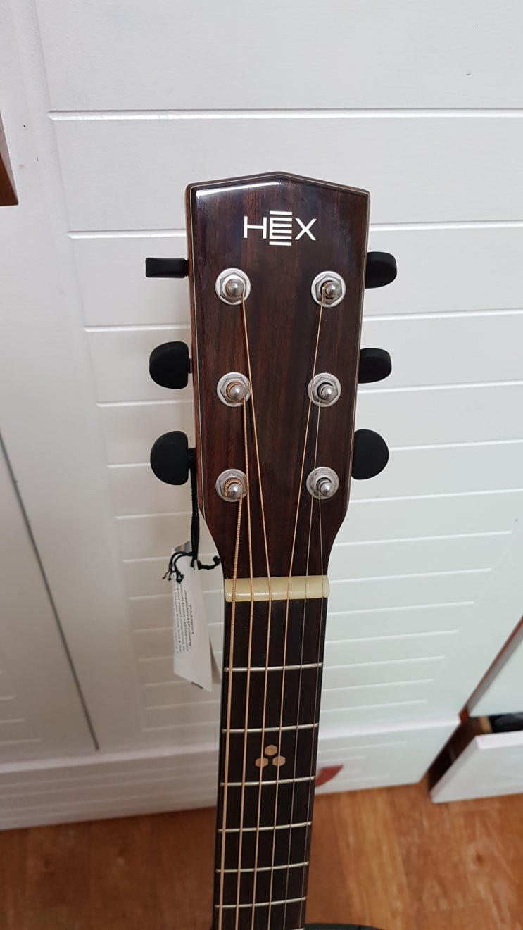 [30만원대 탑백솔리드 기타 추천]헥스(HEX)HORNET F400 G를 샀다. 언제나 그렇지만 내가 쓸건 아니야.! ㅋㅋ ...