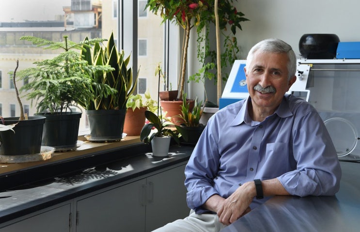 23년간 브로콜리새싹을 연구해온 존스홉킨스의 Jed Fahey 교수 : 네이버 블로그