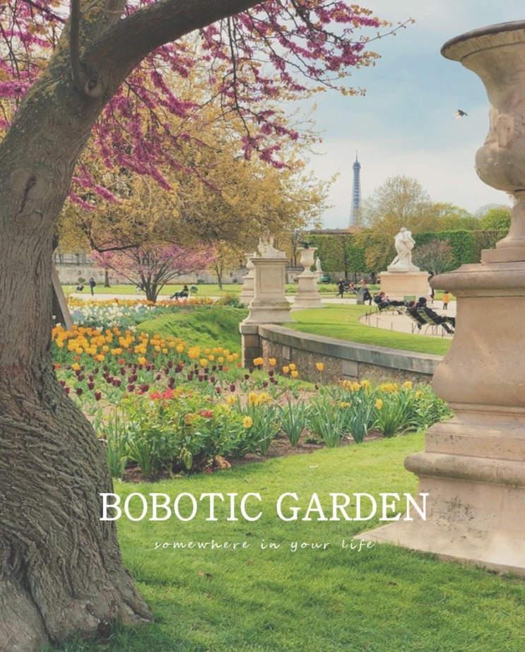 BOBOTIC GARDEN ㅣ 보보틱 가든 : 네이버 블로그