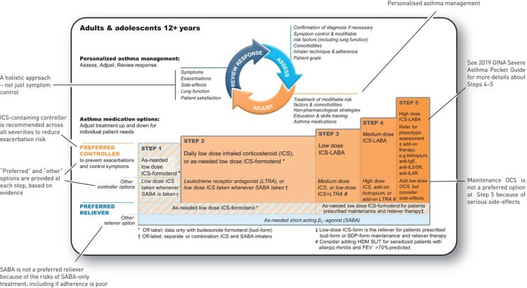 [천식] GINA asthma guideline 2019에 대하여 : 네이버 블로그