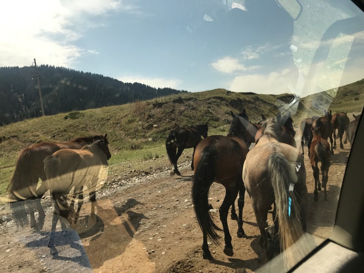 [키르기스스탄] 카라콜을 향해 : 카르카라 계곡(Karkara Valley) & 카라콜(Karakol) : 네이버 블로그