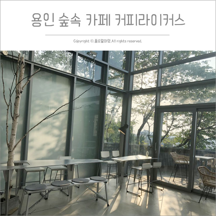 용인카페 기흥아울렛 숲속 카페 커피라이커스 : 네이버 블로그
