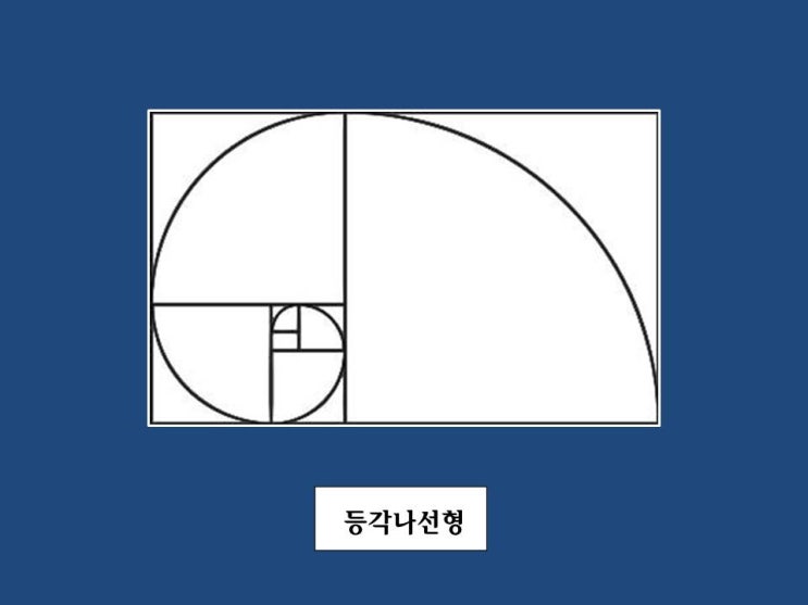 354회 피보나치수열과 황금비율 네이버 블로그