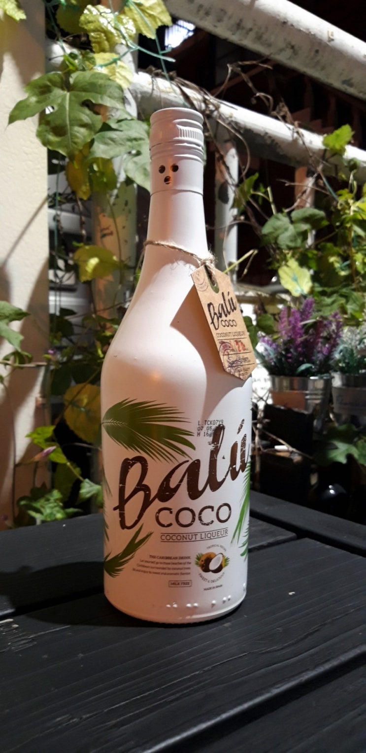바루 코코BALU COCO 말리부럼 부천 시샤 물담배 와인 하이볼 데킬라 보드카 버번위스키 : 네이버 블로그