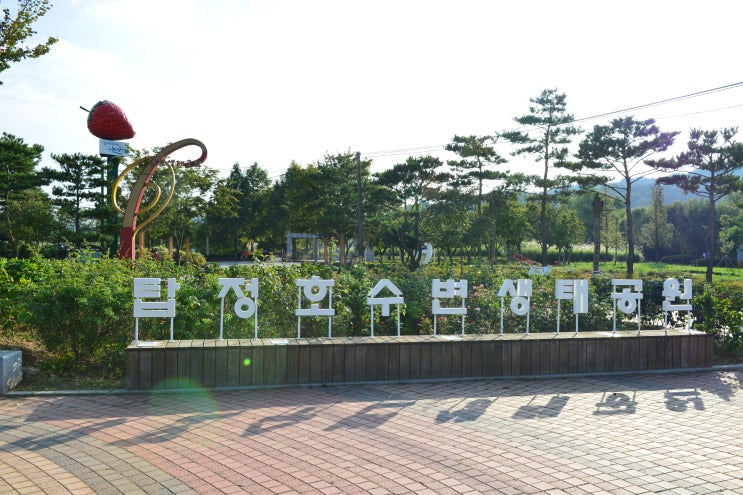 논산 여행 대한민국 힐링공간 탑정호 수변생태공원 네이버 블로그