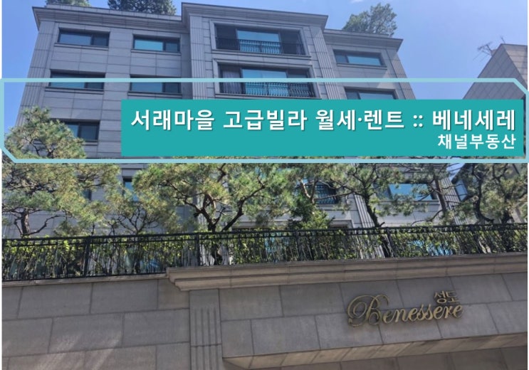 서래마을 고급빌라 월세·렌트 동광단지 최고급자재 올수리 품격 있는 힐링라이프를 담은 베네세레 월세 네이버 블로그