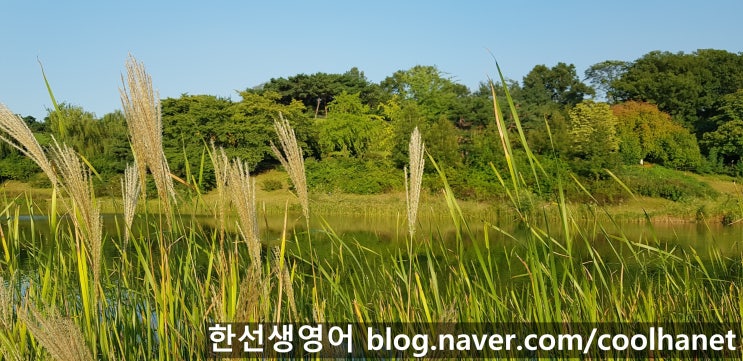 송파 강동구 중고등영어학원의 오금고 동북고 내신·수능·학종 위한 고2 19년 9월 모의고사 어법문제 해설 네이버 블로그