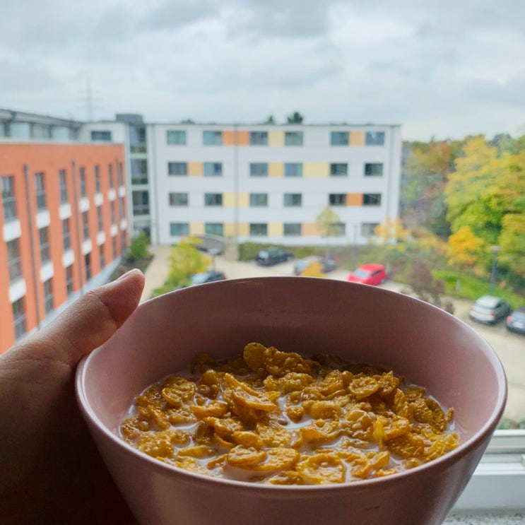 [뒤셀도르프 교환학생] 뽀빠이 한인마트, German Crash Course, N26 카드 수령 : 네이버 블로그