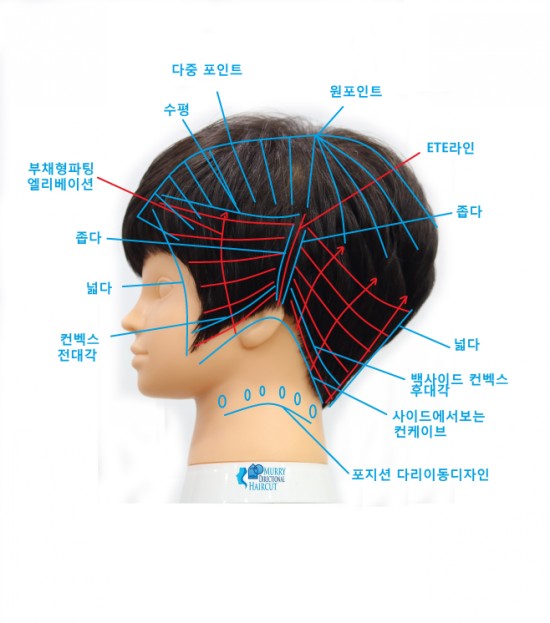 murry directional haircut 커트베이직이야기 숙제 숏커트 사이드전대각수평 : 네이버 블로그