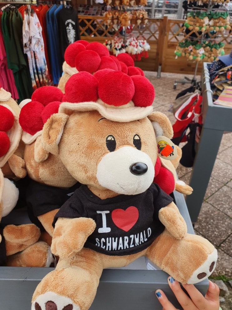 [티티제][Titisee] 독일 여름 호수, 티티제 그리고 워터파크 Badeparadies Schwarzwald : 네이버 블로그