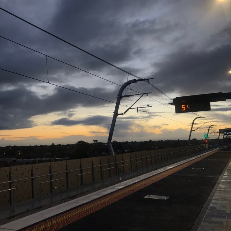 주말 보내는 방법 (호주 D+84~85 / 채드스톤 CHADSTONE 쇼핑센터 / 판도라 Pandora / 수박쥬스 만들기 ...