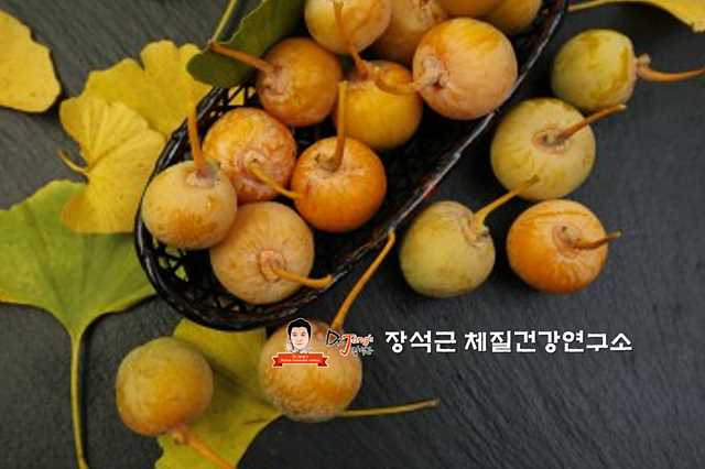장석근 체질건강연구소 대한사상체질협회 장석근회장이 추천하는 사상체질 태양인 태음인 소양인 소음인보양식 은행 좋아