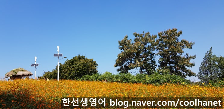 송파 강동 고등부영어학원의 보성고·방산고 내신·수능·학종 위한 고2 19년 9월 모의고사 23 주제문제 해설 네이버 블로그