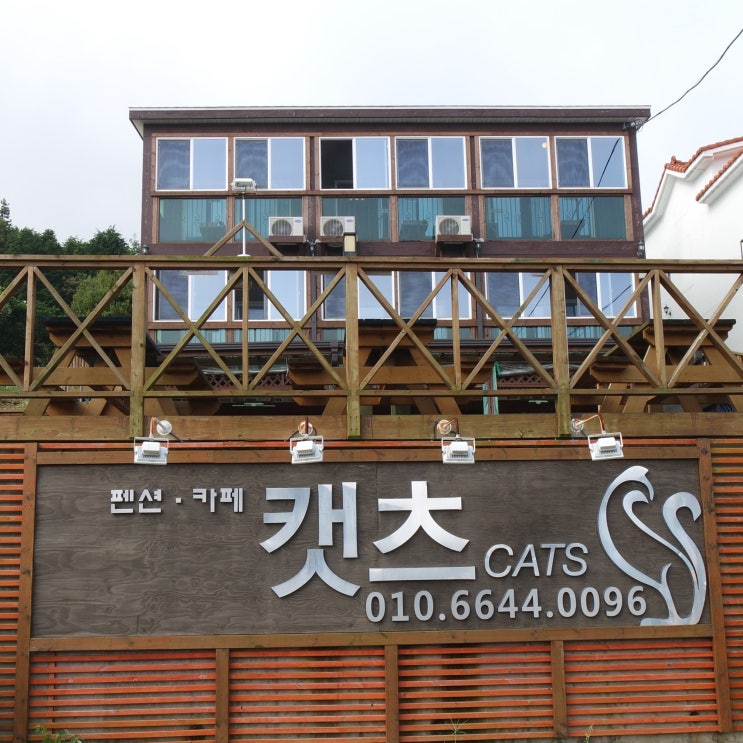 통영 숙소 추천 "캣츠펜션 러시안블루" 가성비 좋은 오션뷰 스파펜션 : 네이버 블로그