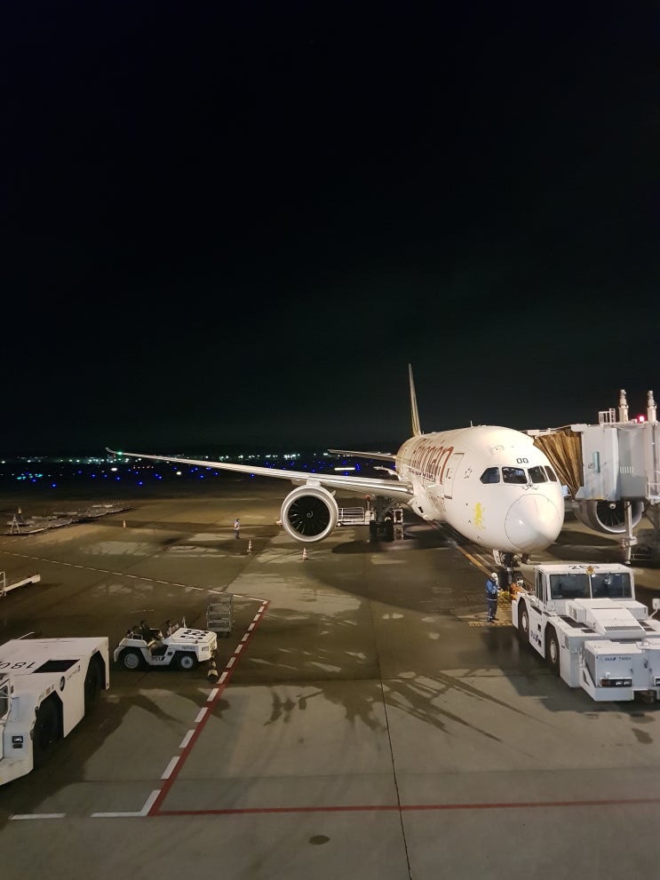 [이코노미] 에티오피아항공 ET673 나리타-인천(NRT-ICN) 탑승기 + 유나이티드항공 라운지 : 네이버 블로그