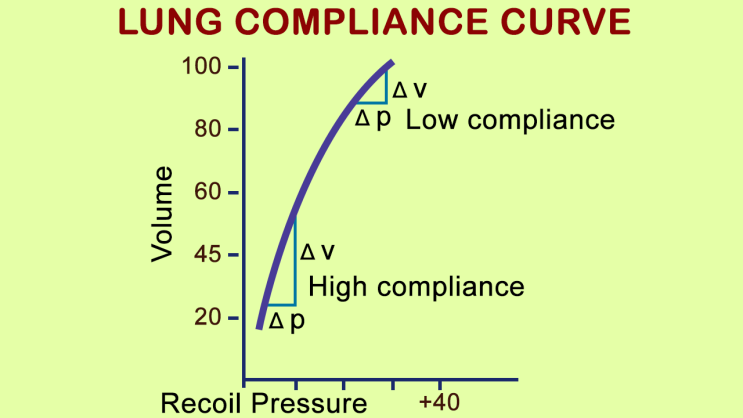 호흡 관련 지식 - lung compliance, emphysema와 fibrosis, surfactant : 네이버 블로그