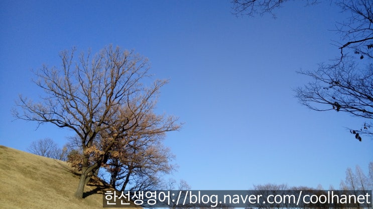 2016학년도 경찰대 영어 9번 어휘문제 바른 해설 송파 잠실 중고등부영어전문학원 네이버 블로그
