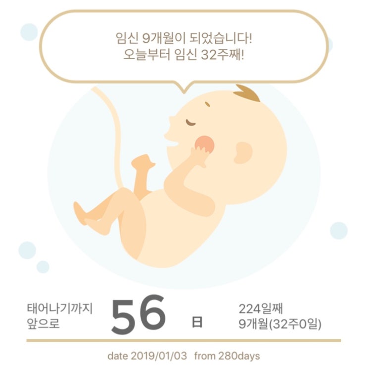 임신 32주차 태아몸무게 임신9개월차 배뭉침 조기진통 수제쿠키 봄안고 네이버 블로그