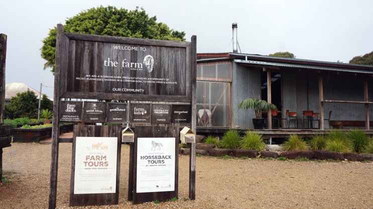 [호주 여행] The Farm Byron bay : 바이런베이 농장 투어 : 네이버 블로그