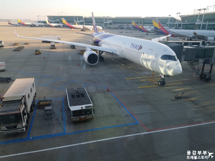 타이항공 인천 - 방콕 TG659, 방콕에서 치앙마이 탑승후기(ft.태국 입국신고서 작성방법 / 방콕 수완나폼 공항 국내선 환승 ...