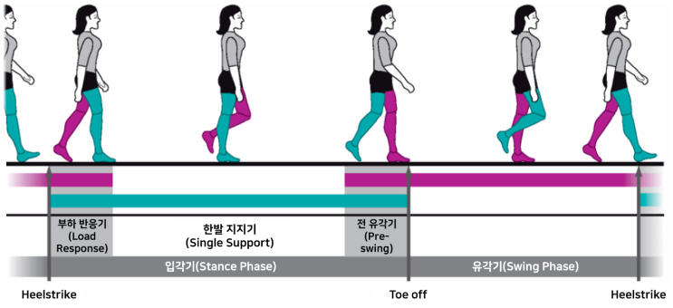 Gait Cycle(보행주기) : 네이버 블로그