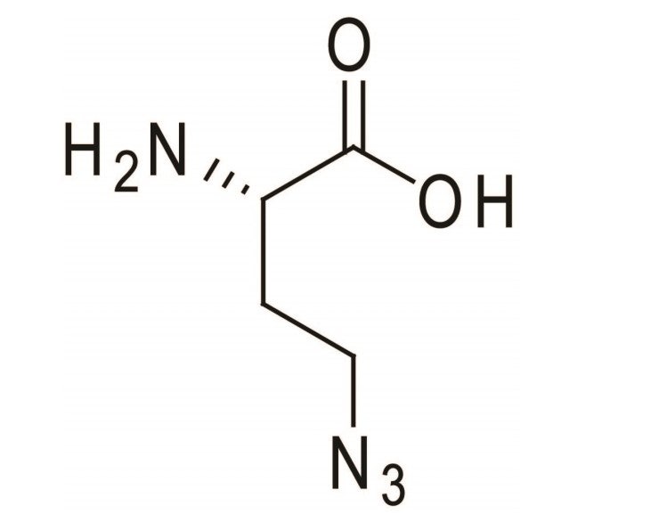 [Amino Acid Labeling/Amino Acid Azides] 4-Azido-L-homoalanine ...