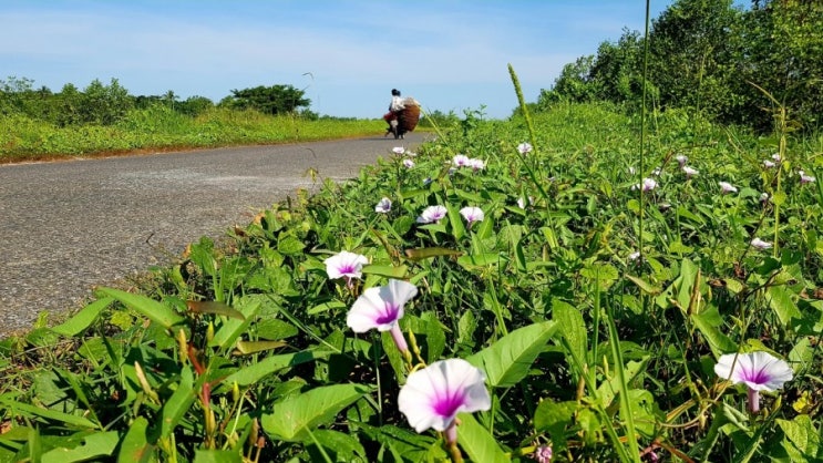 미얀마여행 ㅡ 이라와디강따라2ㅡ힌타다 Hinthada까지 : 네이버 블로그