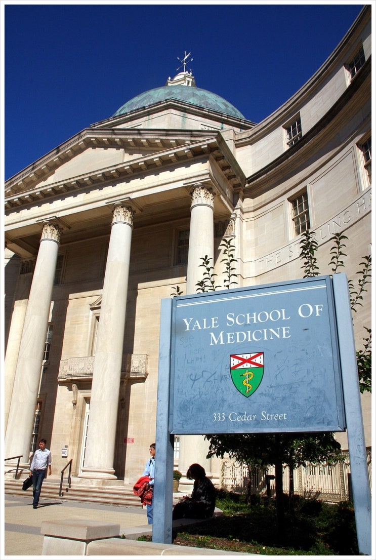 [코네티컷] 전통이 엿보이는 아름다운 캠퍼스, 예일대학교(Yale University) : 네이버 블로그