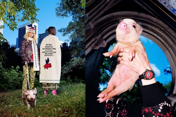 19SS 구찌 "돼지" 컬렉션 룩북 19SS GUCCI "pigs" Collection Lookbook : 네이버 블로그