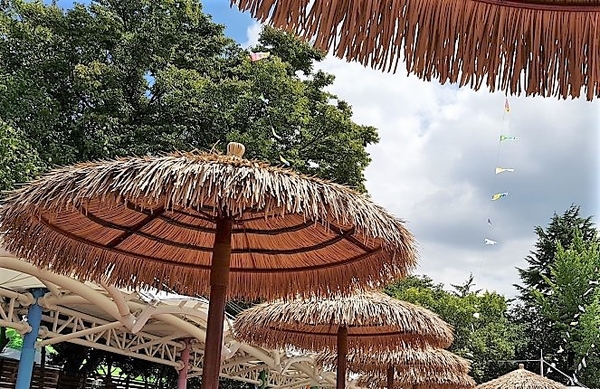 갈대 파라솔!! 대구 두류 수영장 인조 갈대파라솔!! : 네이버 블로그