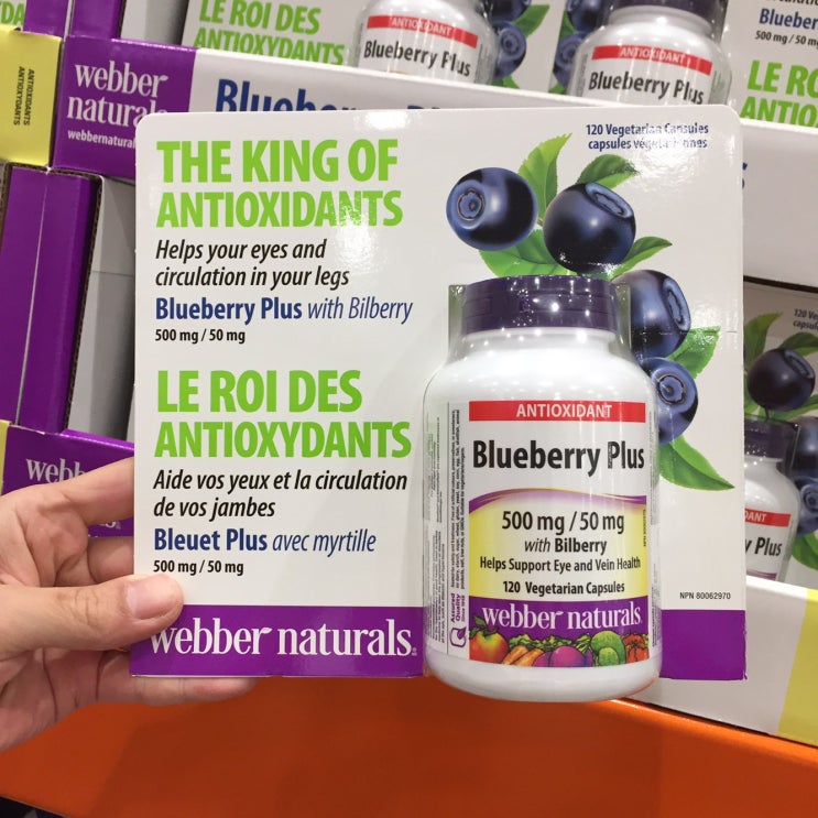[웨버내추럴]블루베리 플러스 빌베리 500mg 120캡슐, Webber natural Blueberry Plus with ...