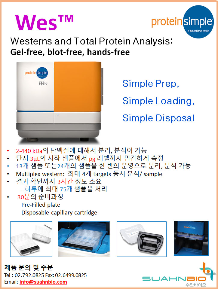 전기영동과 웨스턴블랏 자동화 장비 - WES (proteinsimple) : 네이버 블로그