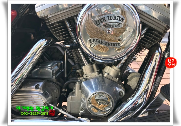 할리데이비슨 HARLEY DAVIDSON CYCLES LIVE TO RIDE EAGLE -SPIRIT : 네이버 블로그