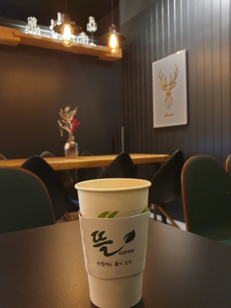 광교 커피 ☕ 뜰 커피가 오픈했어요~🥤 : 네이버 블로그