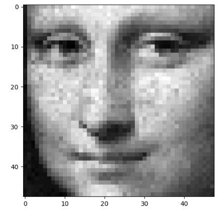 2019년 1월 17일 연구일지 (FER plus 확인) : 네이버 블로그