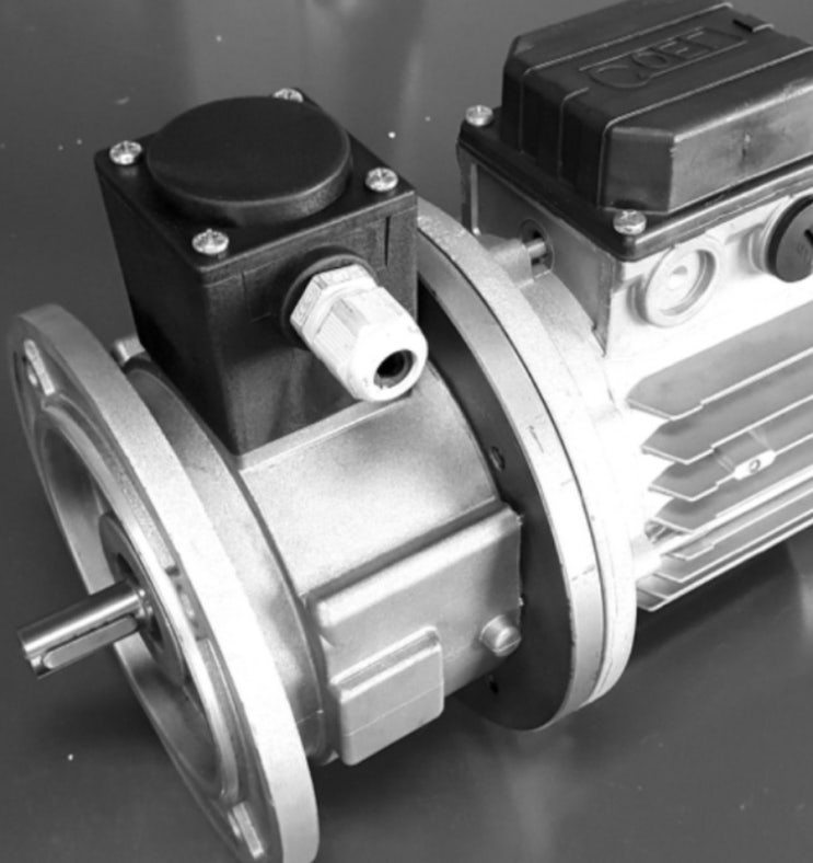 VIS 2019 Standard Brake : 네이버 블로그